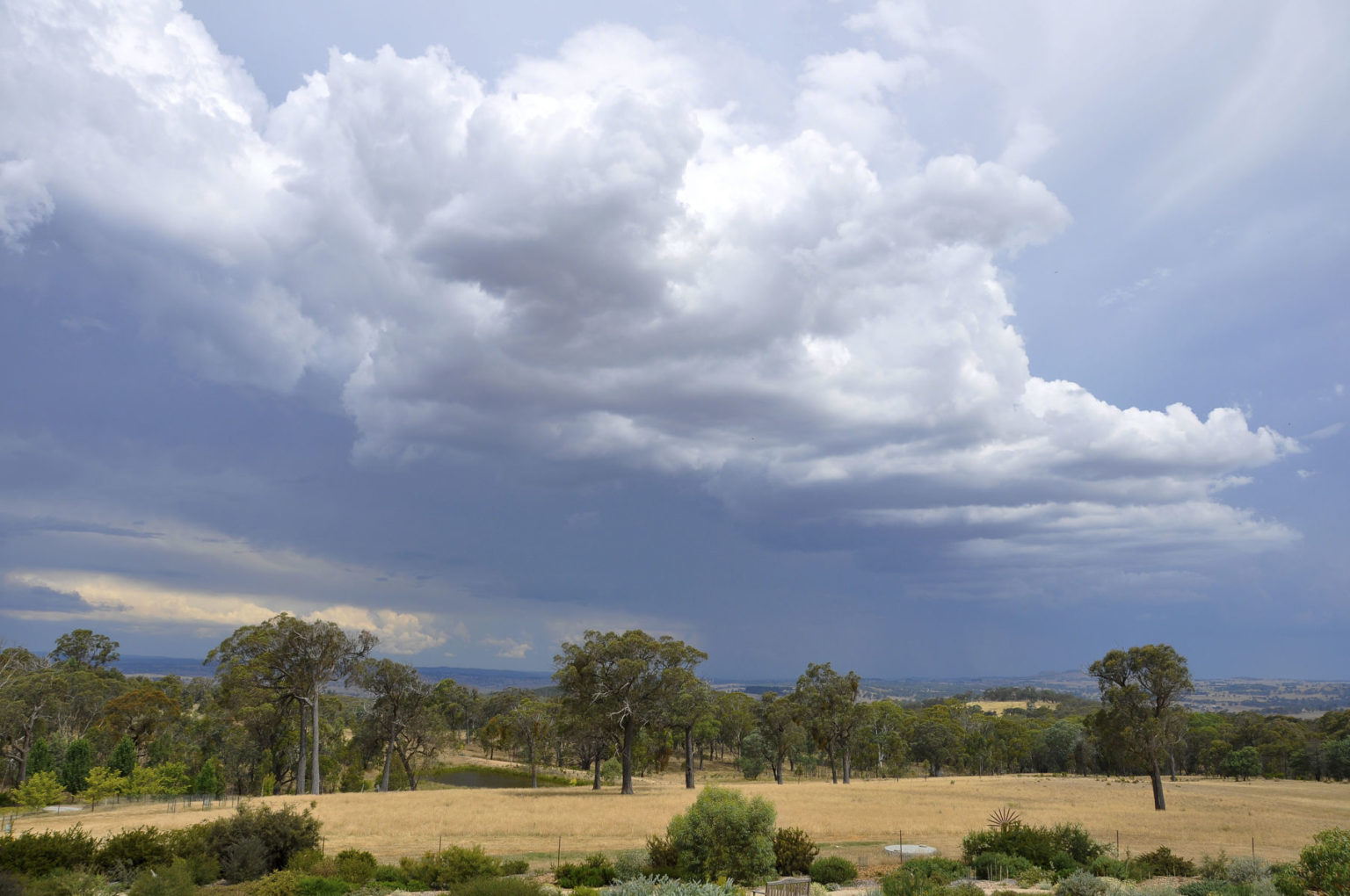 2. Stunning views of the Central Tablelands | Australian Plants Society