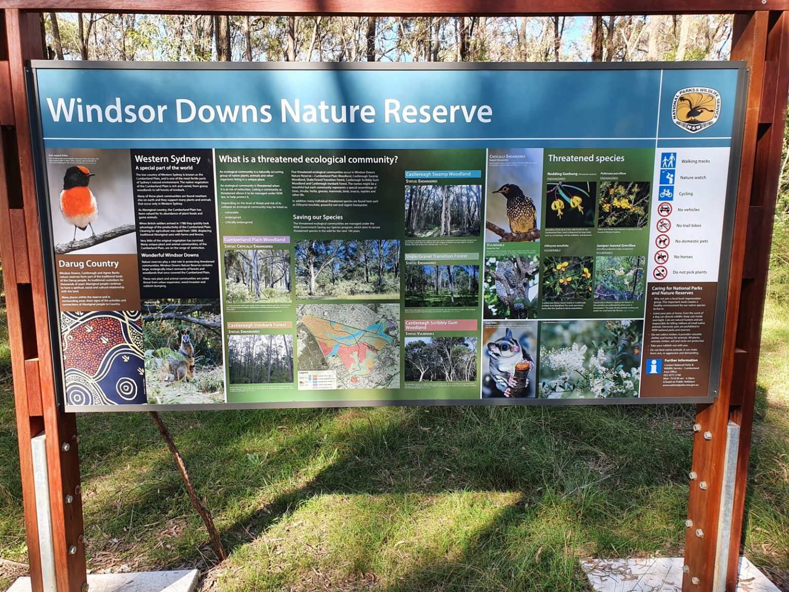 Surprising Sydney Flora Tour – September 2022 | Australian Plants Society