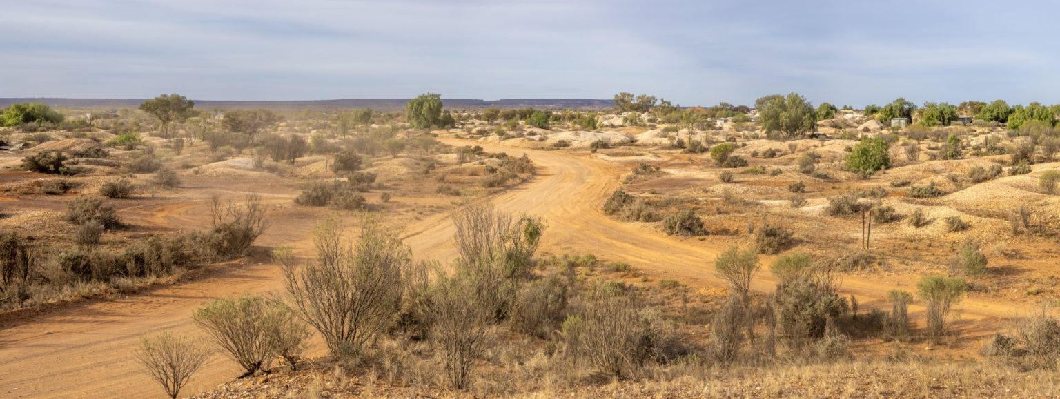 Exploring ephemeral arid plants of NSW | Australian Plants Society