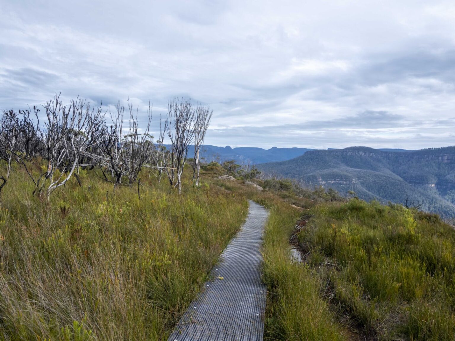 Mount Bushwalker Track – a must see on the south coast | Australian ...