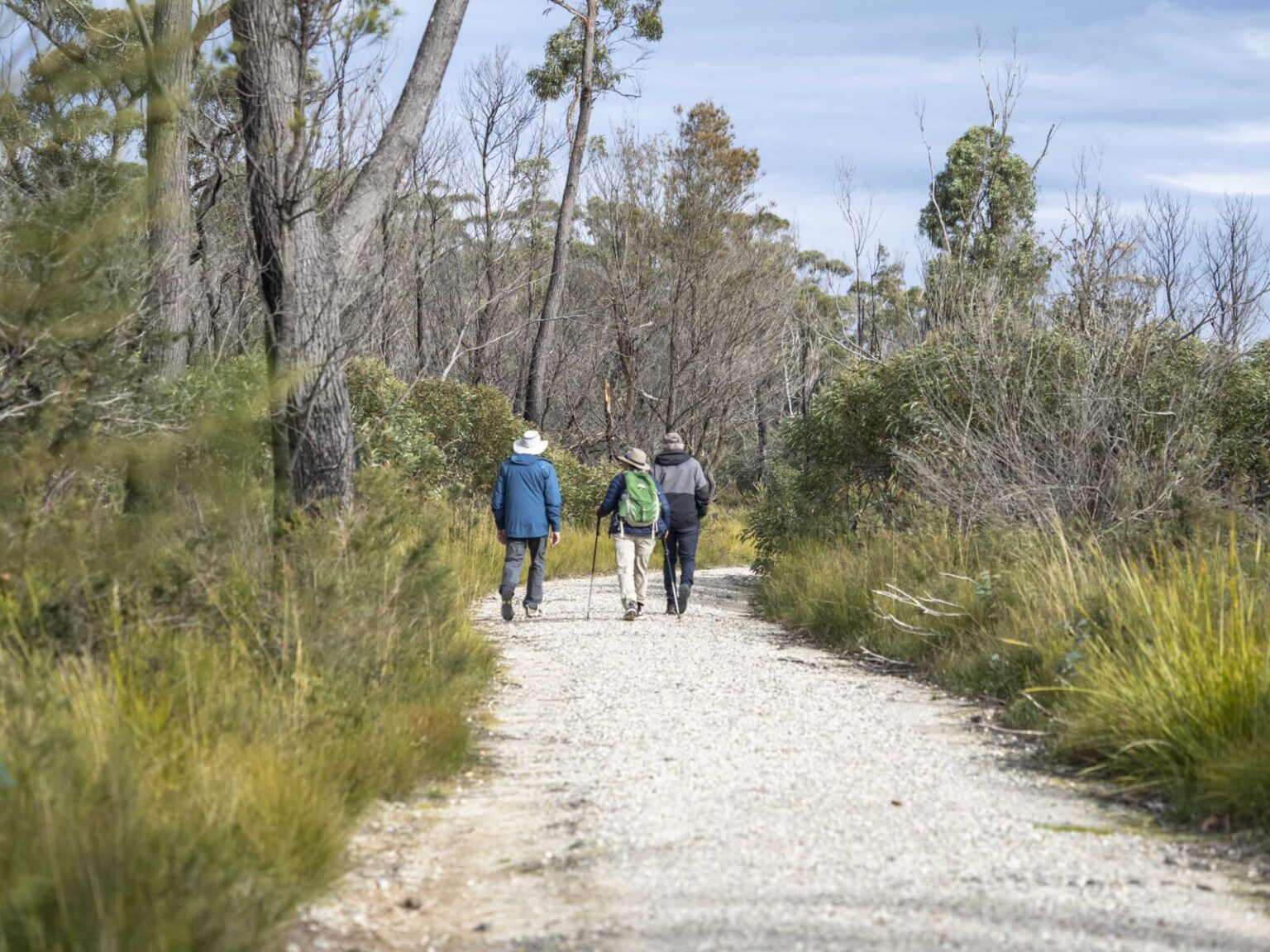 Mount Bushwalker Track – a must see on the south coast | Australian ...