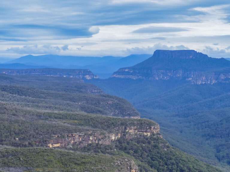 Mount Bushwalker Track – a must see on the south coast | Australian ...