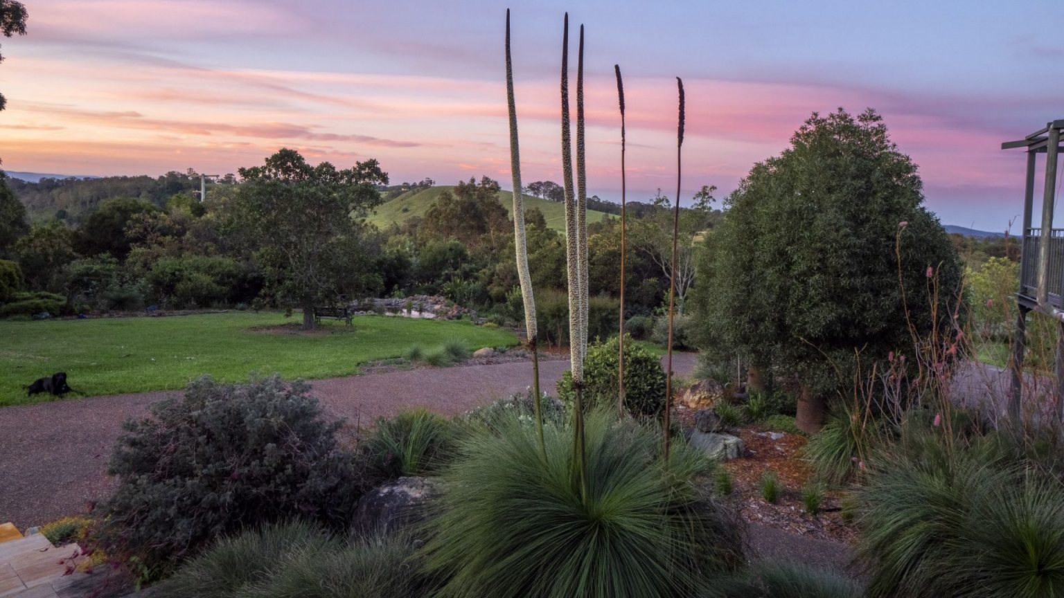 Diversity or uniformity in garden design | Australian Plants Society