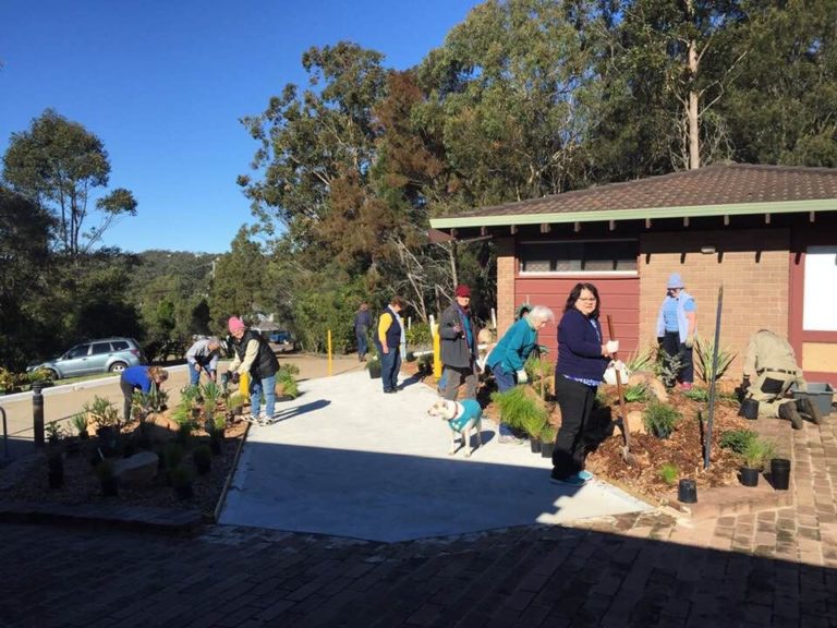 Creating a native garden at Phillip House, Kariong | Australian Plants ...