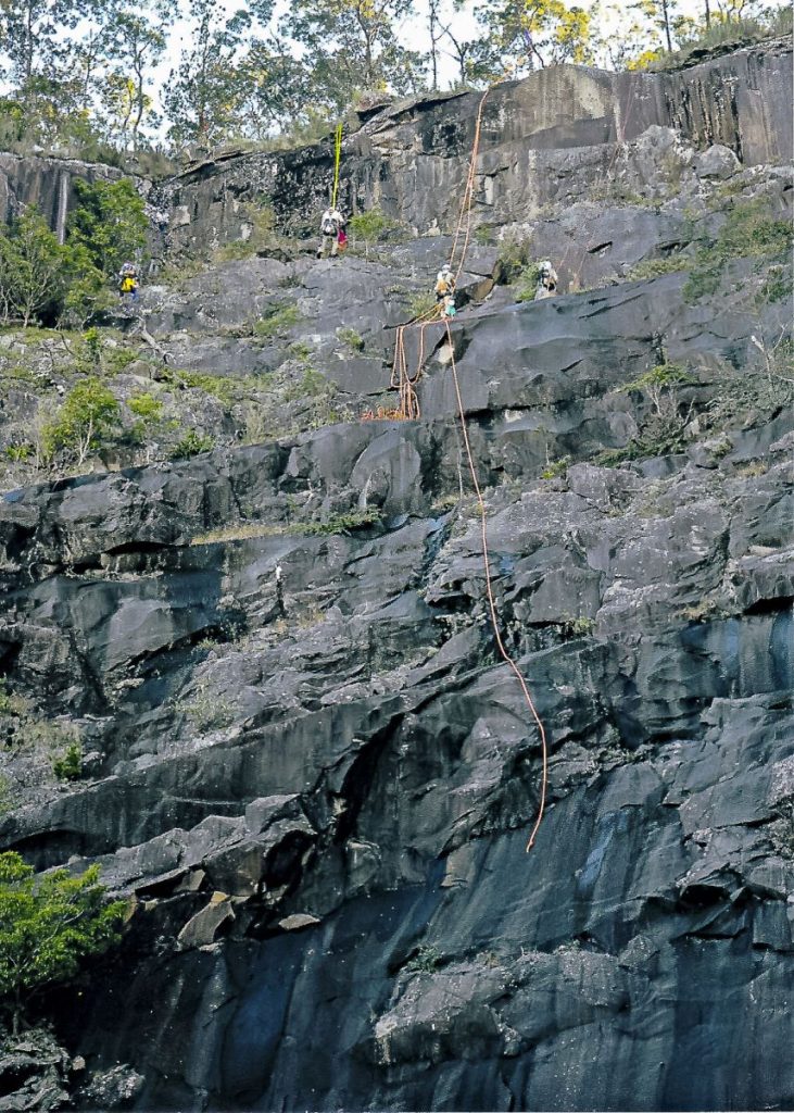 Regenerating Mount Gibraltar, Southern Highlands | Australian Plants ...