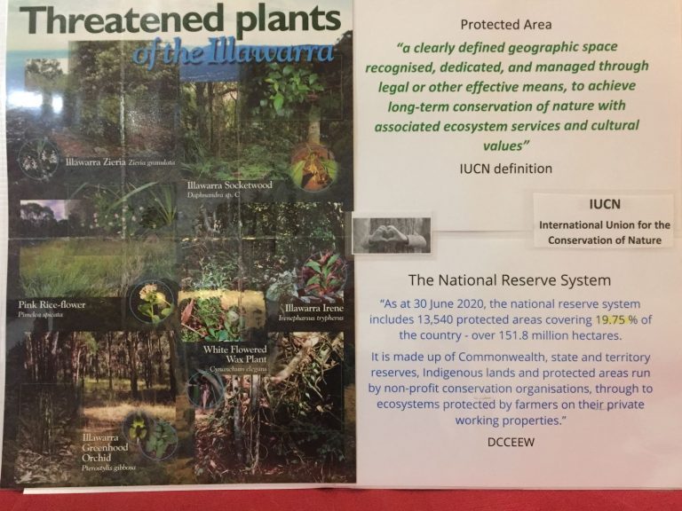 IMG-0006 | Australian Plants Society