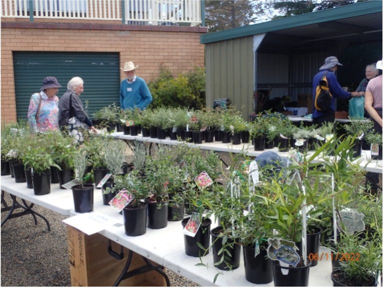 Open Garden plant stall | Australian Plants Society