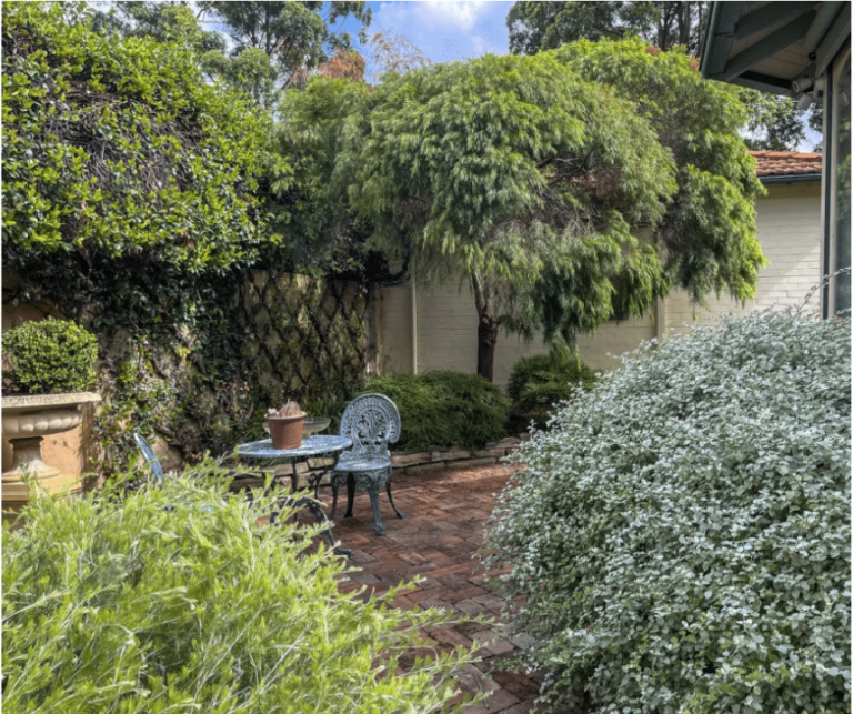 Revamp one | Australian Plants Society