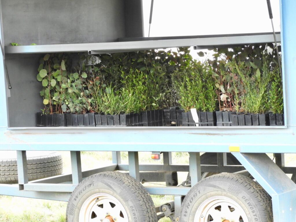 A weekend of tree planting for regenerative farming | Australian Plants ...