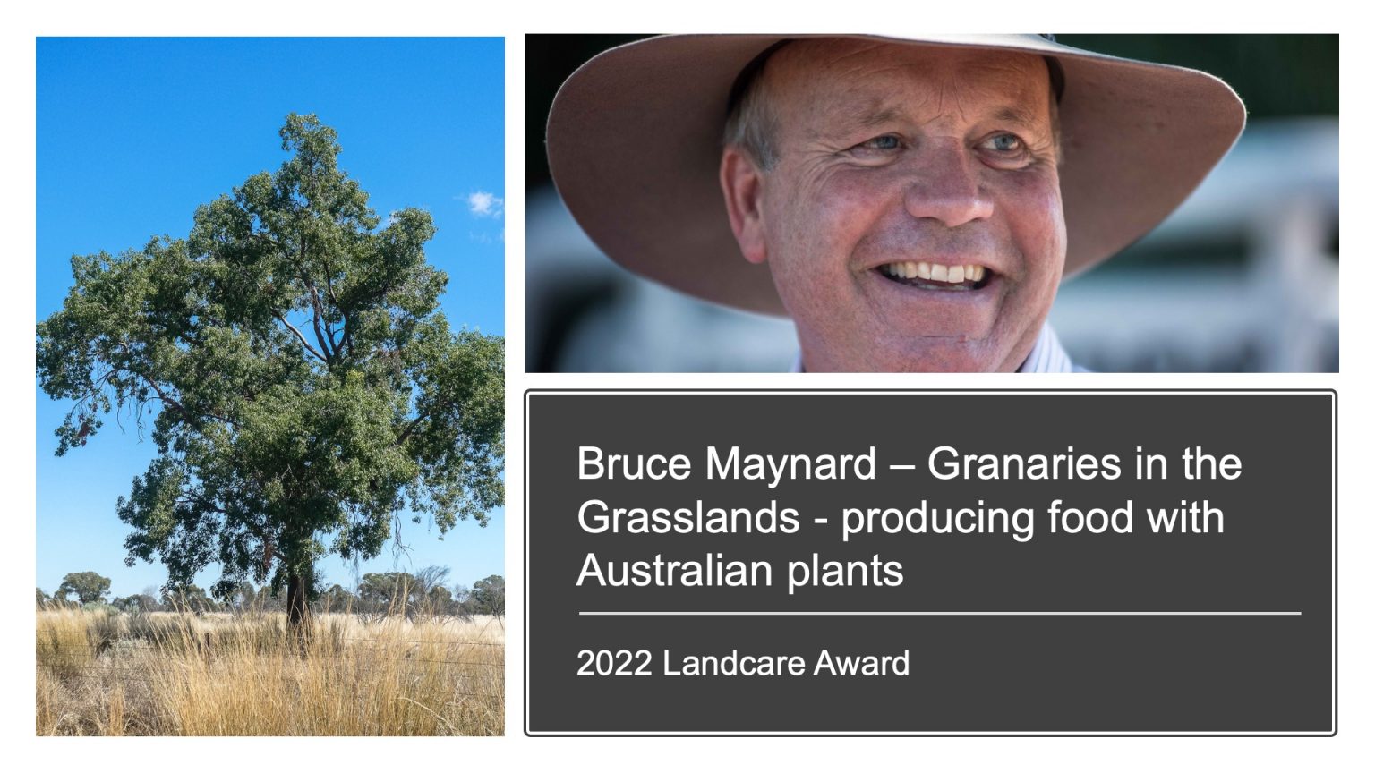 ANPSA Australian Flora Conference – Resources | Australian Plants Society