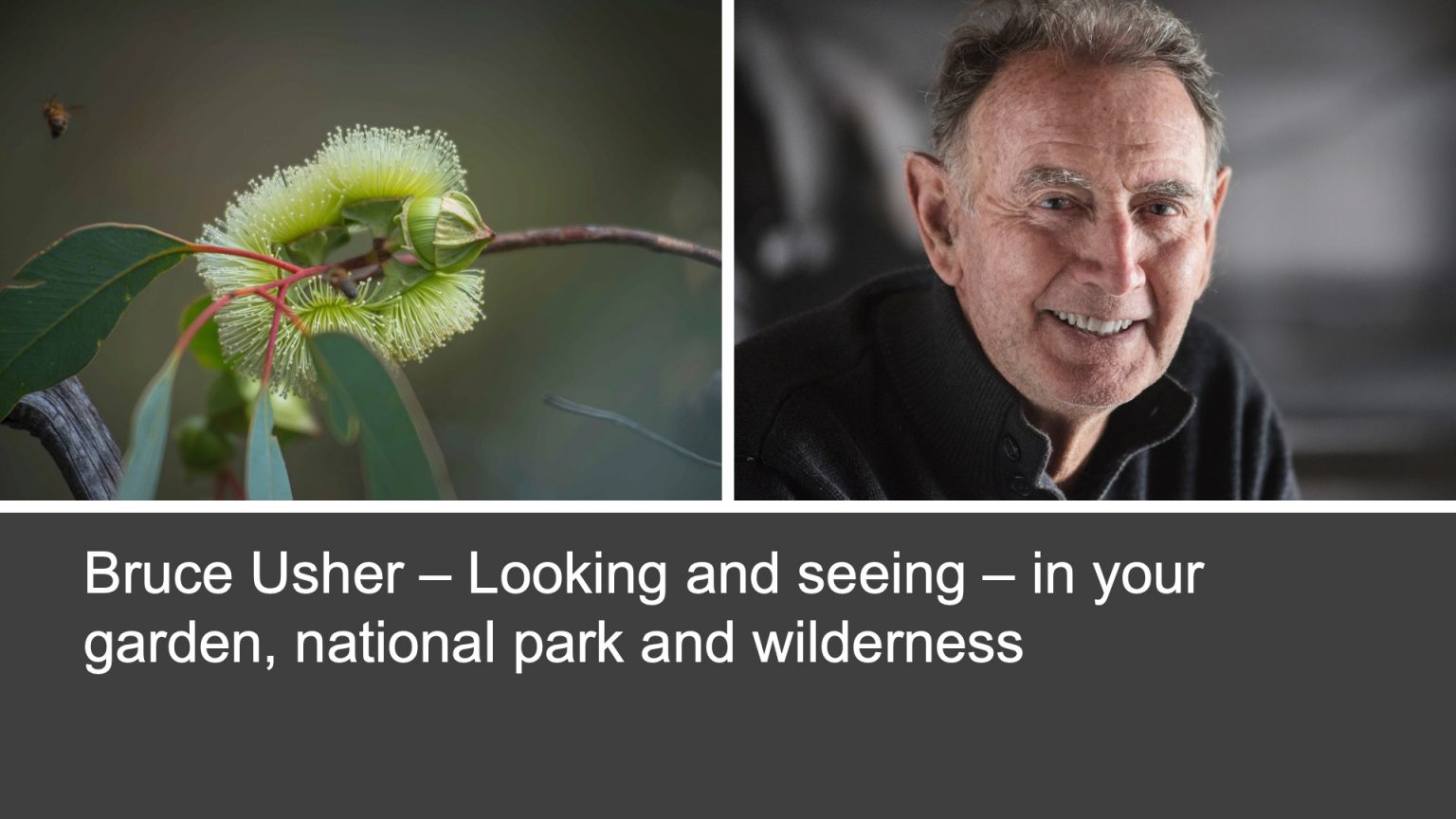 ANPSA Australian Flora Conference – Resources | Australian Plants Society