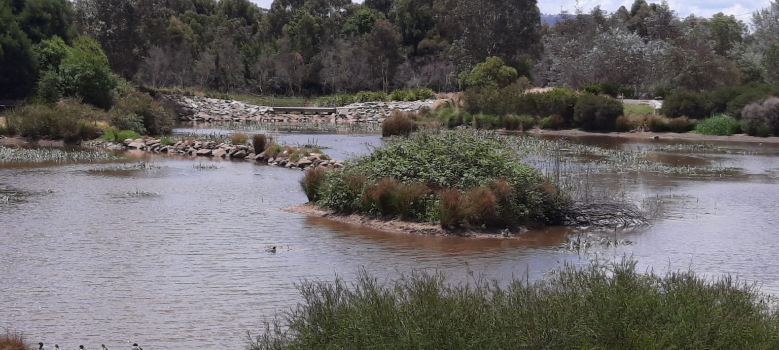 APS NSW Annual Get-together, 18-19 November 2023, Goulburn | Australian ...