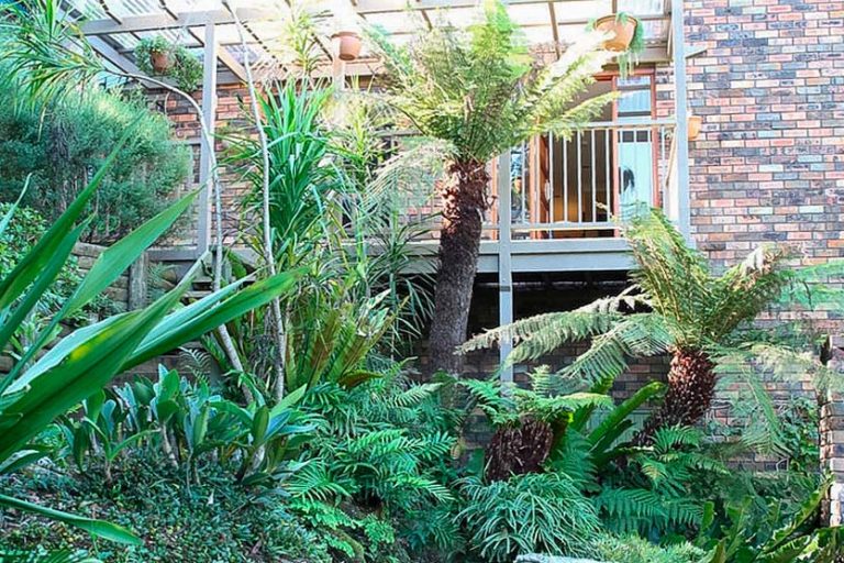Growing native ferns in a shaded garden | Australian Plants Society